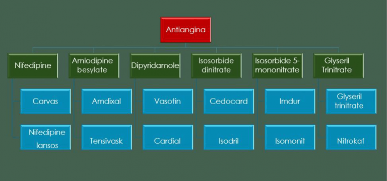 √ Obat Kardiovaskuler - Penggolongan, Jenis, Mekanisme Kerja